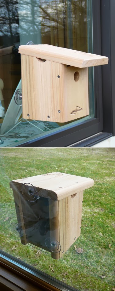 Kettle Moraine Window Mount Bird House