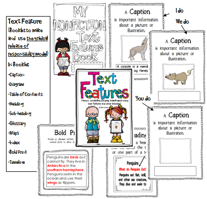 See Jane Teach Multiage: Text Features Book