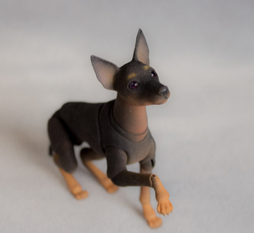 Collecting Fashion Dolls by Terri Gold: BJD Pets 3D Printing