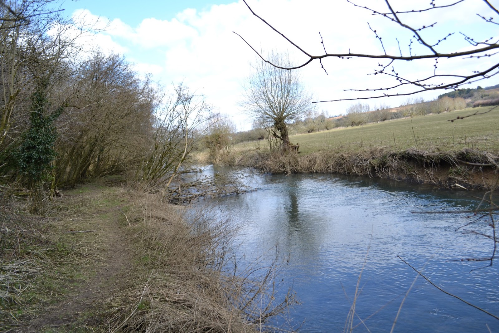 Walks among Flowers: Oxfordshire: Evenlode Valley