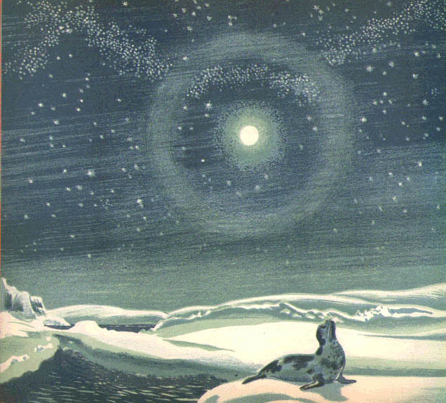 Animalarium: Sunday Safari - Winter Moon