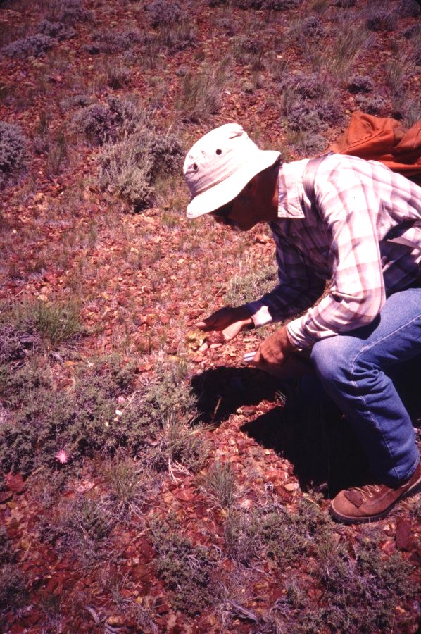 GemHunter's Guide to Agate & Jasper: Agate, Jasper, Quartz, Chalcendony ...