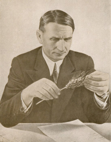 Aclarando: La extraña historia de una teoría científica.