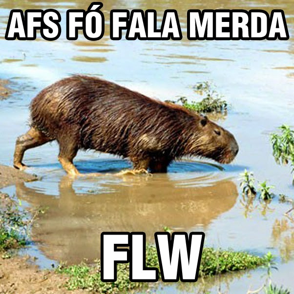 Capivara Godofredu | Blog de Humor: 14 memes de capivaras para ...