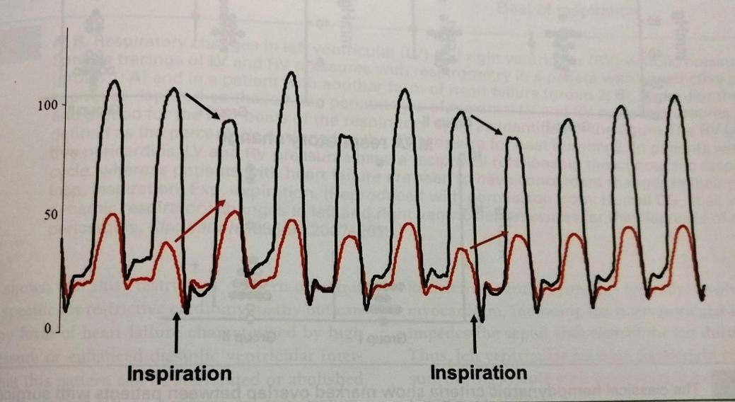 Learning cardiology: May 2018