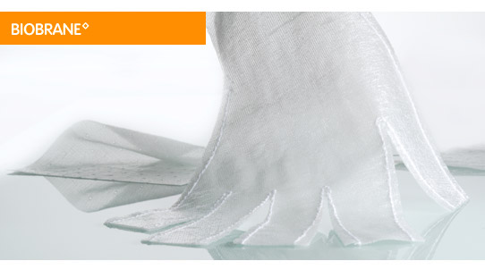 Innovation Group: septiembre 2013