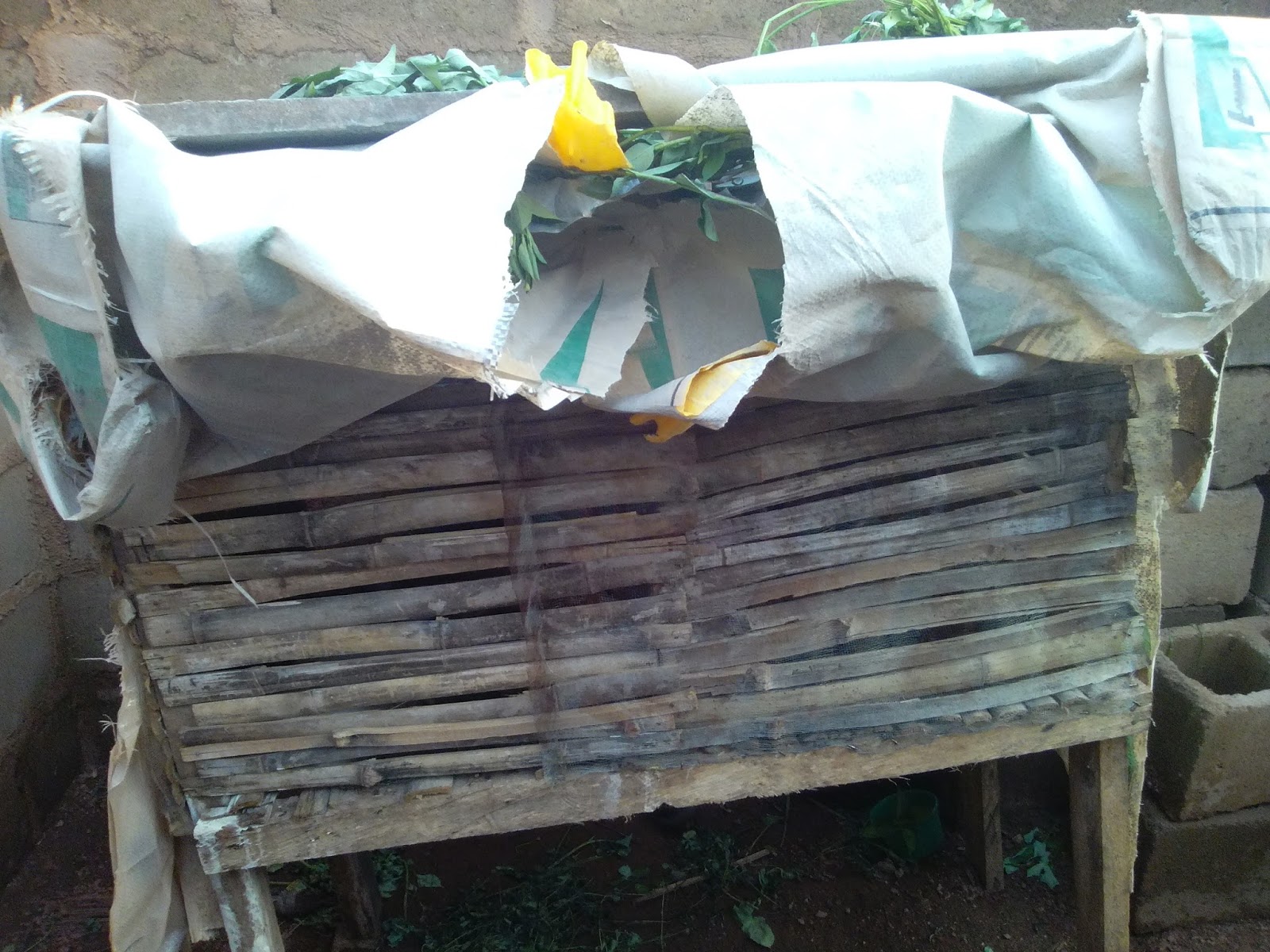 YOUTH RABBIT PROJECT: REPORT