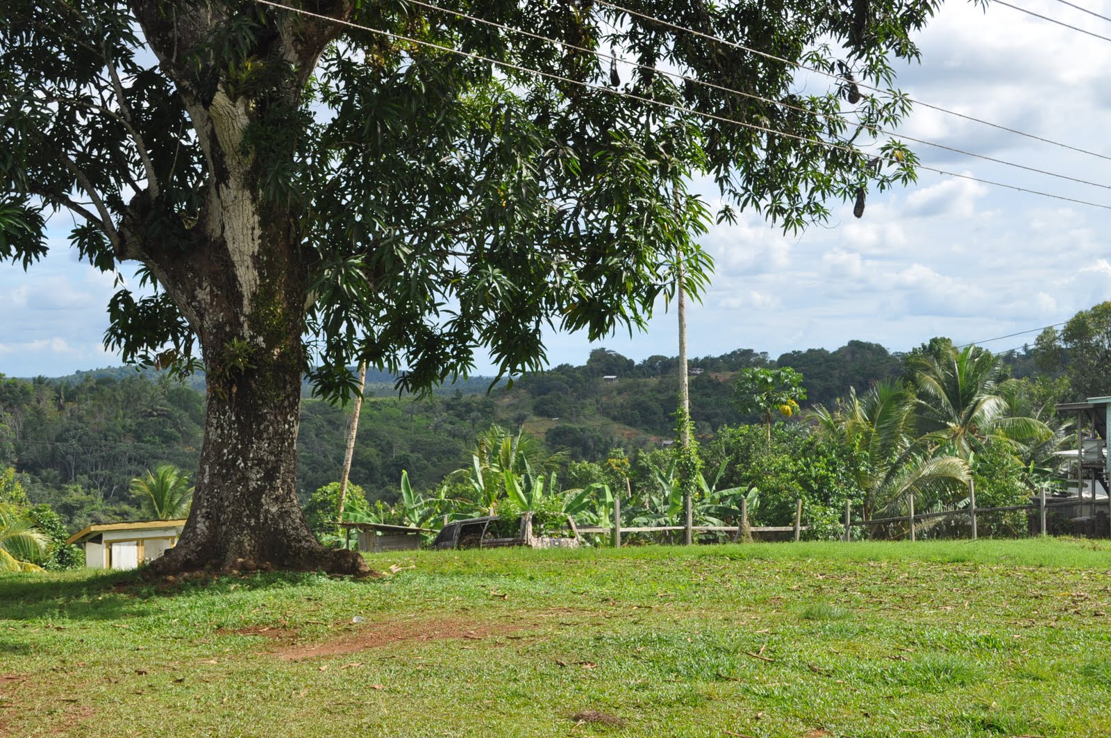 It's Always Sunny In Guyana: Photo updates from our site in Mabaruma