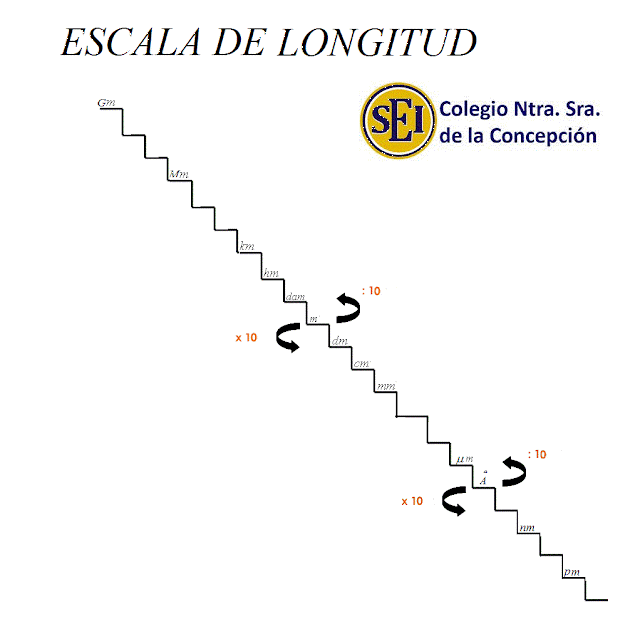 CIENCIAS SEI CONCEPCIÓN
