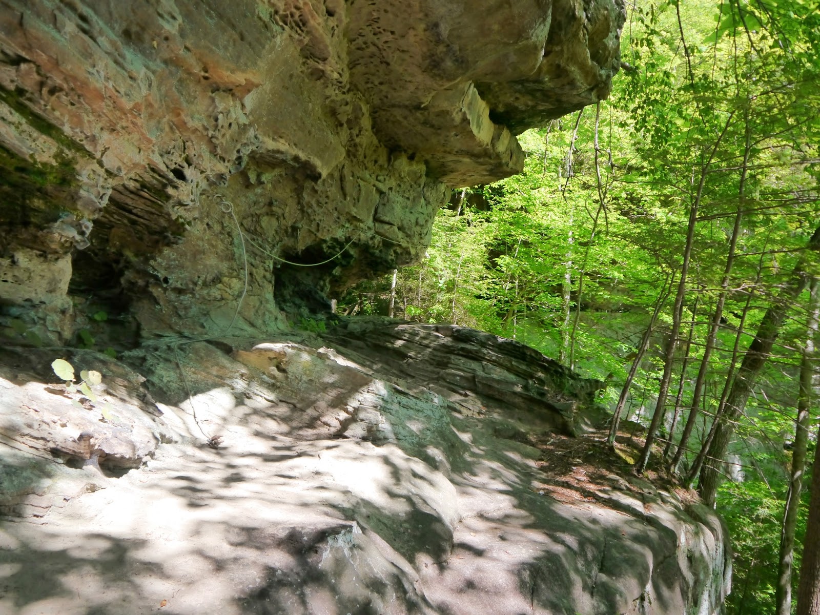 American Travel Journal: Angel Falls Overlook - Big South Fork National ...