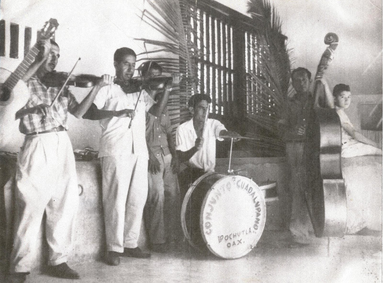 NUEVO ORDEN MUNDIAL DE LA INFORMACIÓN.: SAN PEDRO POCHUTLA SE MUESTRA ...