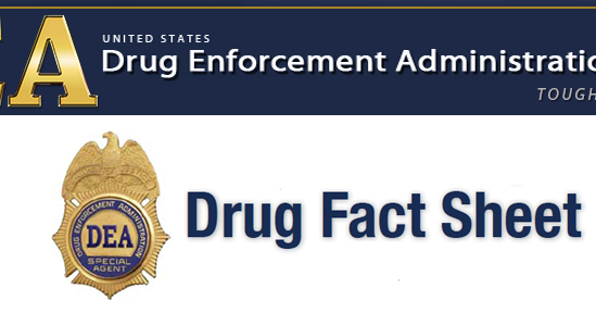 Chesbro on Security: DEA Drug Fact Sheets