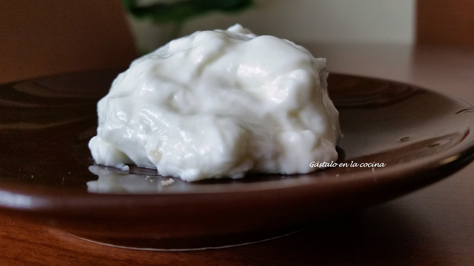 Gástalo en la cocina: LACTONESA (MAYONESA SIN HUEVO)