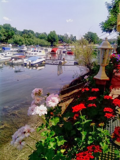 novi sad fotografije