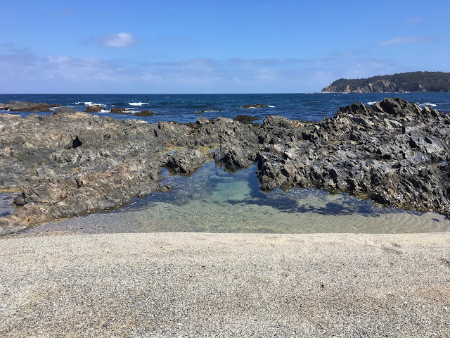 Swimming: Rosedale "pool"