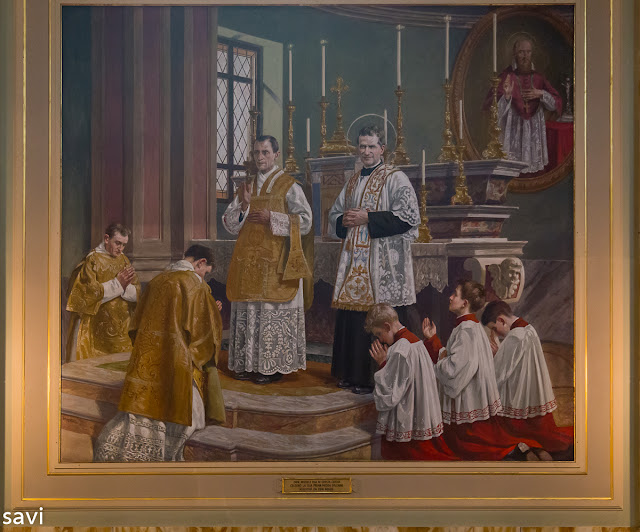 sacerdos viennensis: Michael Rua