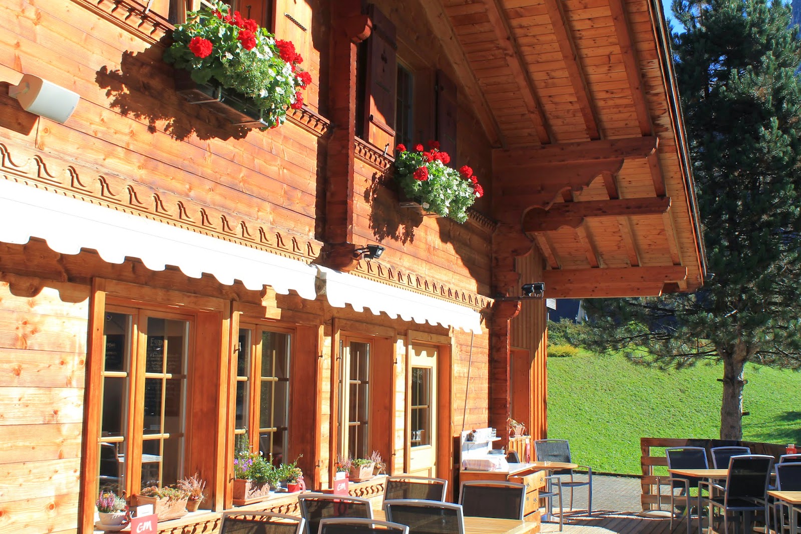 Alppitähti: Sveitsi - maailman kaunein maa