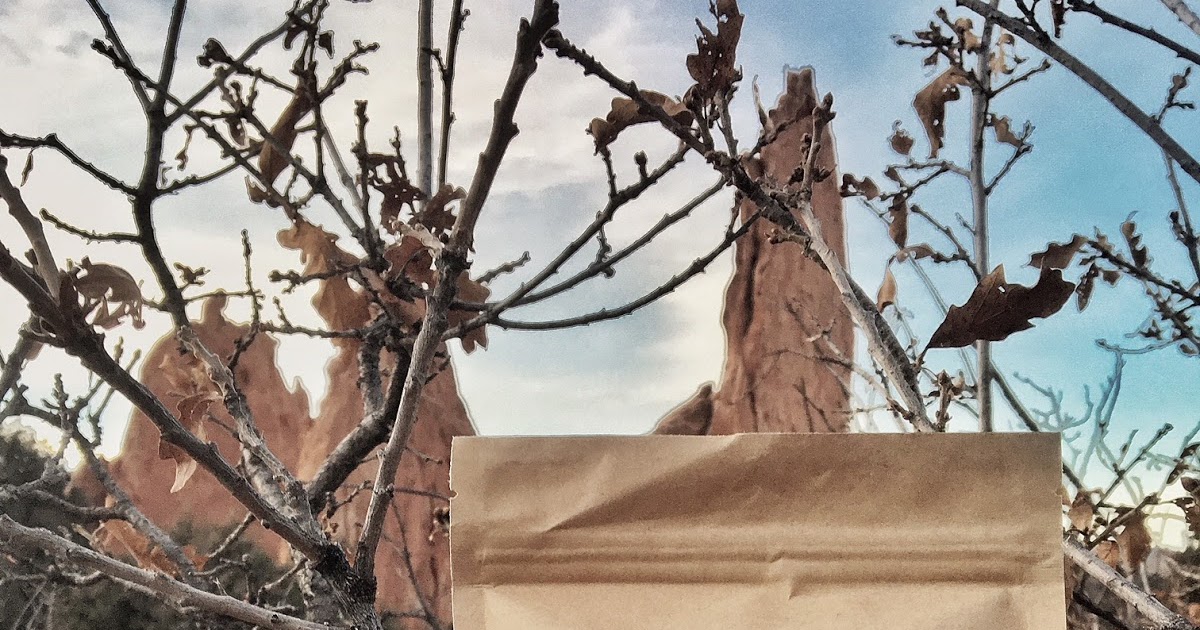 Brugh Finca Idealista - Honey