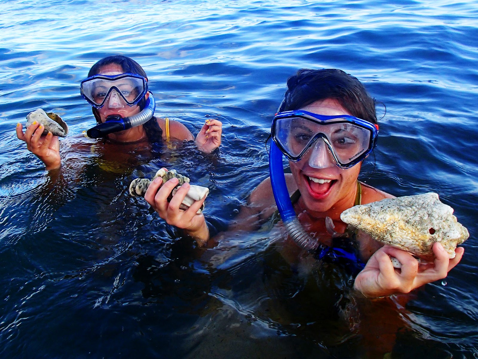 the best of both worlds: Vieques, Puerto Rico