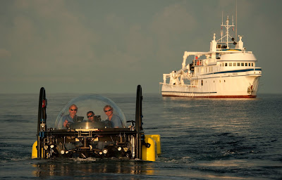 Dive Flag App Travels, Shop & Product Reviews: The DeepSee Submersible ...