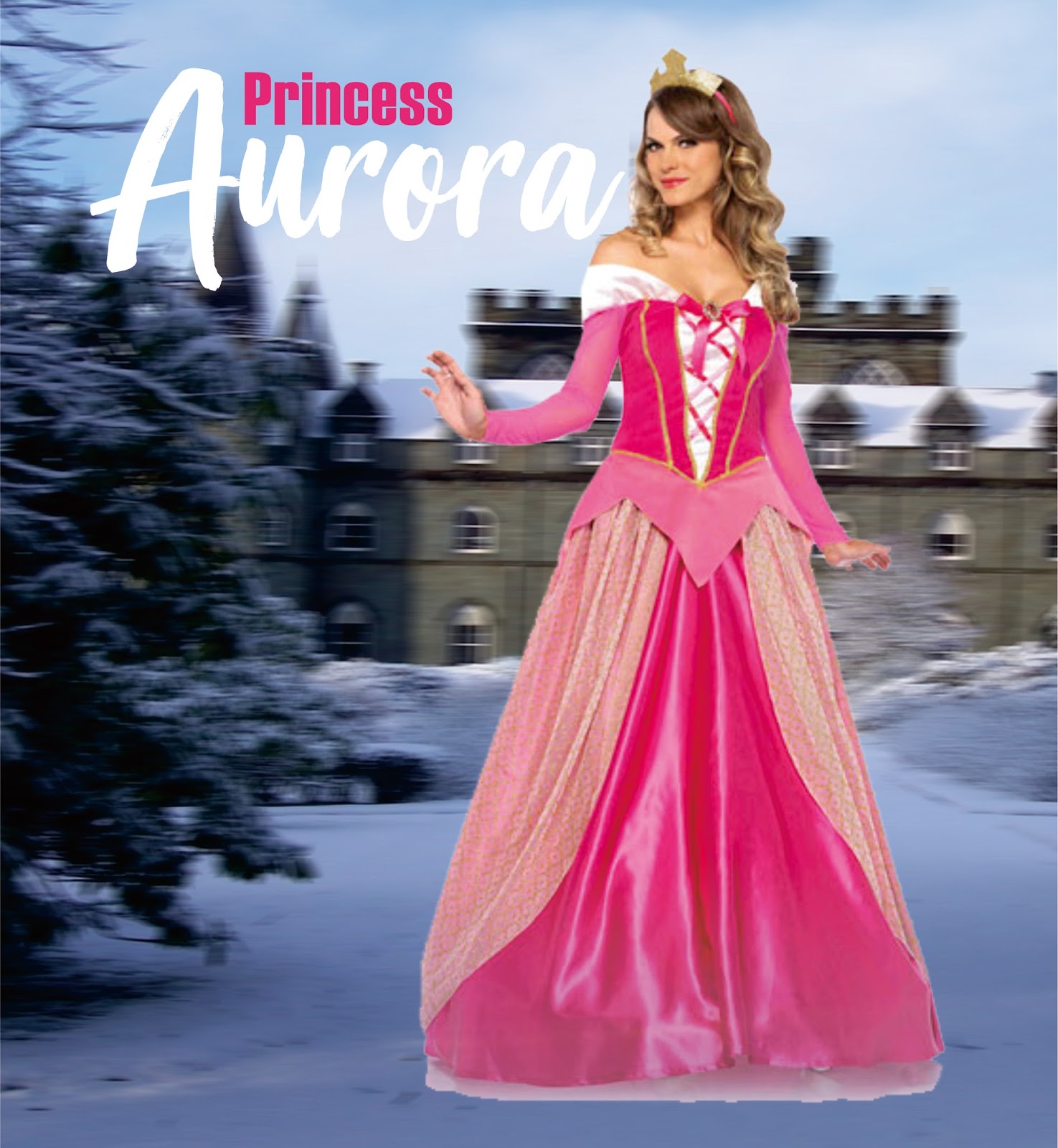 Sewa Kostum Karakter Disney , Prince and Princess Disney • Sewa Kostum ...