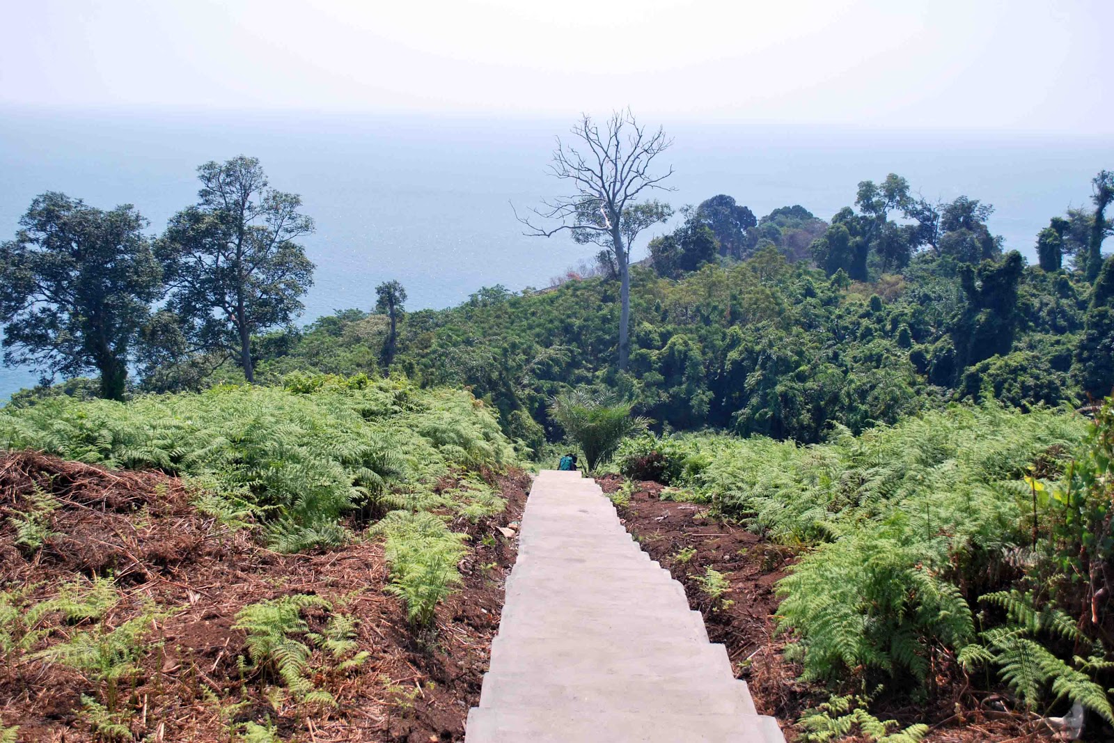 ARDIANSYAH: Pesona Alam Wisata Pulau Salah Namo Tanjung Tiram,Batu Bara