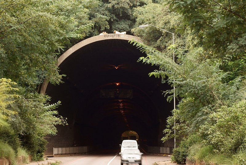 Photographer: The Goats Of Daspoort Tunnel.