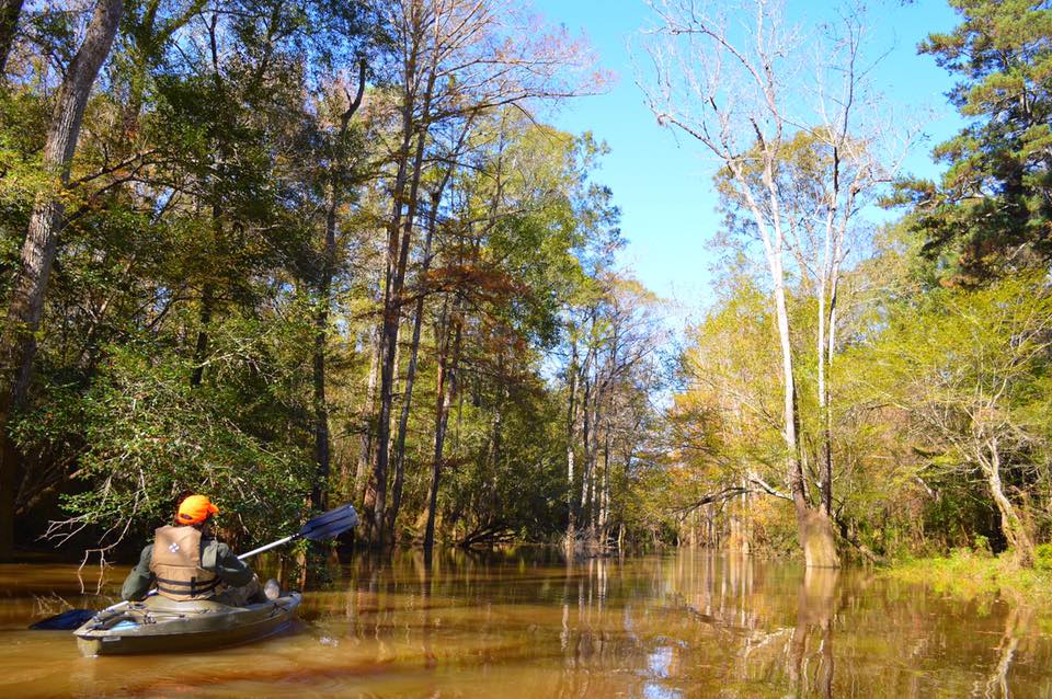 Kints: The Unfathomed: Big Swamp and Big Lake, 22 November 2015