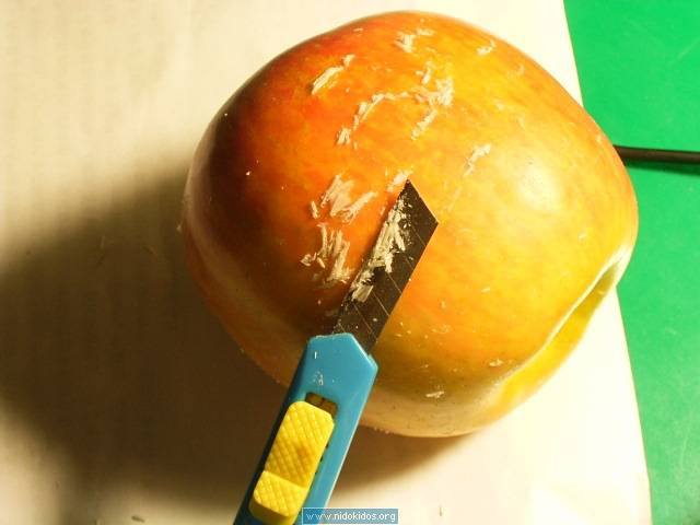 CHANNEL 4: Apples Coated With Wax To Look Fresh For 1 Year!