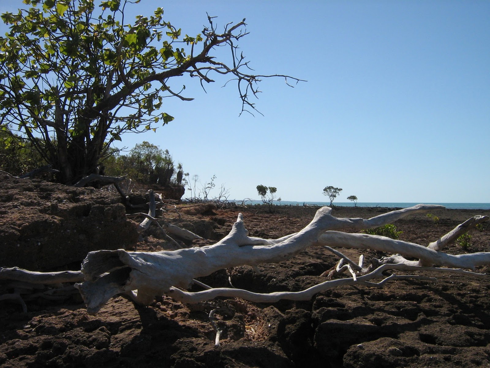 RJP BOF: Goulburn Islands to Port Essington