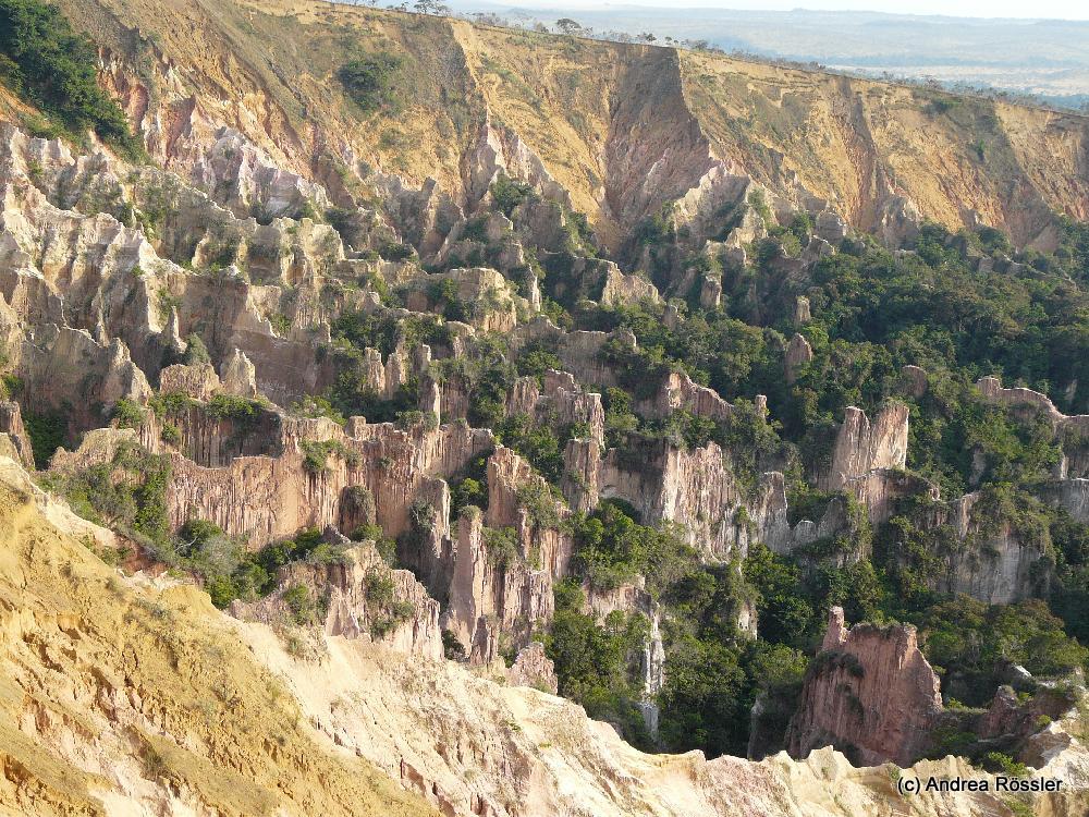 Andrea Rössler travelling the world: Movie making in Gabon