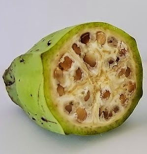 Global Issues Blog: Bananas: More Than You Ever Wanted to Know