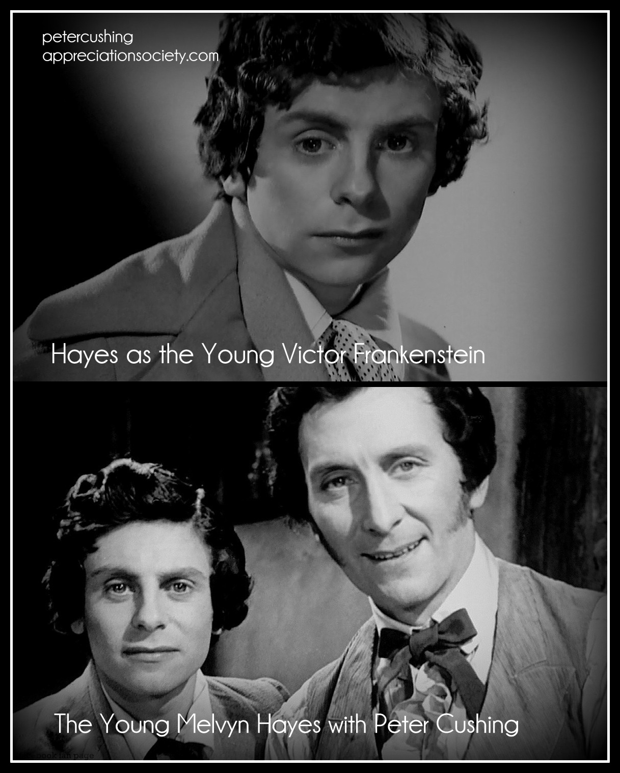 PETERCUSHINGBLOG.BLOGSPOT.COM (PCASUK): WHEN MELVYN HAYES MET ...