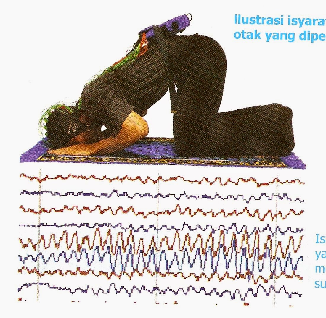 cintarindurasul: Solat Dari Perspektif Sains : Fadhilat pergerakan ...