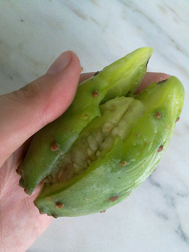 Tabaibos ou figos da Índia