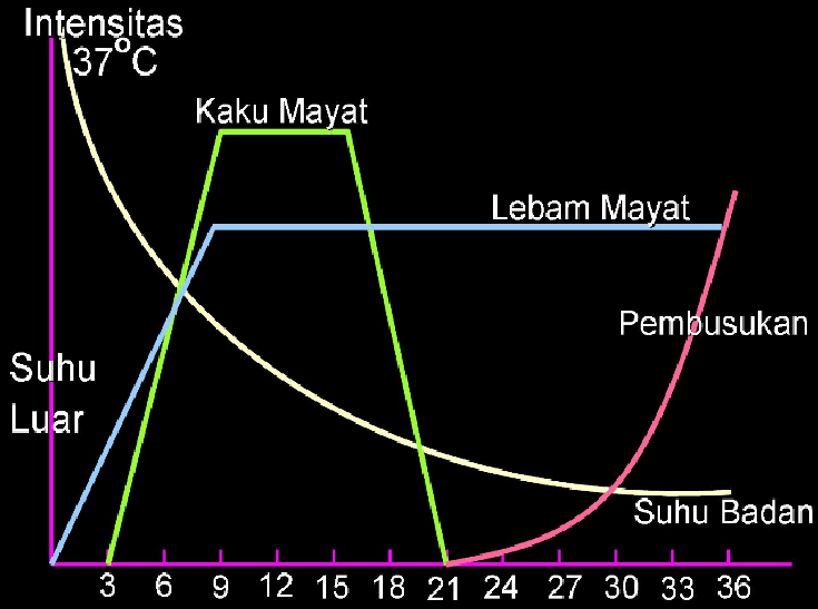 Perubahan Post Mortem