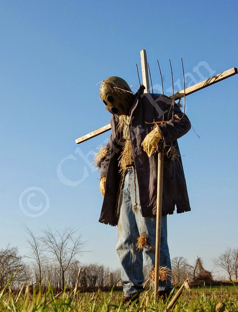 The Scarecrow's Post: The Bubba Scarecrow