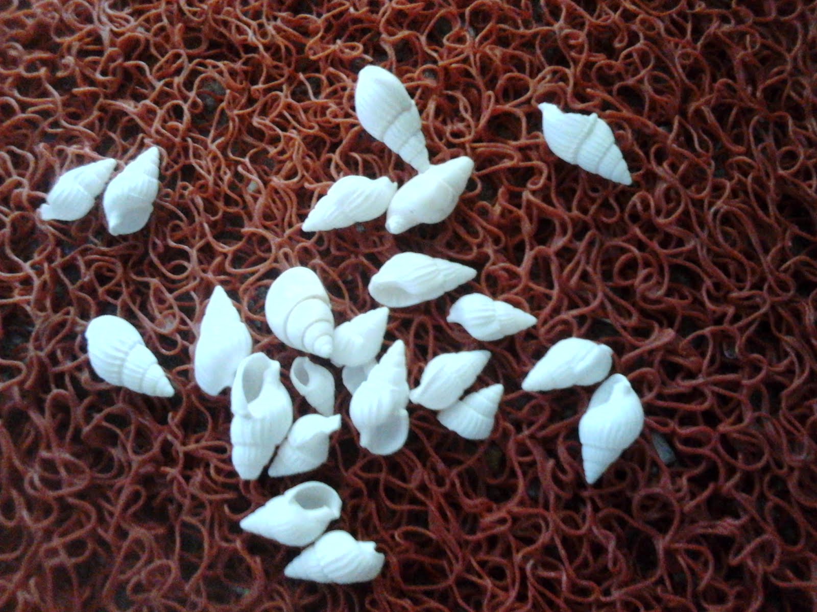 BeUniqueStyle: DIY material - shell series