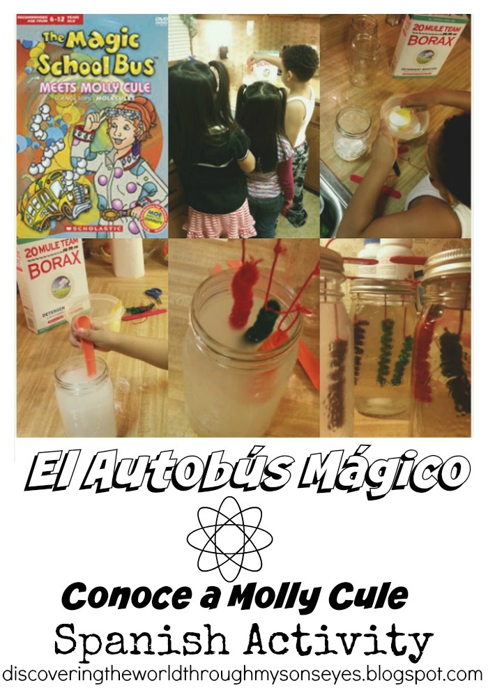 The Magic School Bus Meets Molly Cule Spanish Activity Discovering The World Through My Sons Eyes
