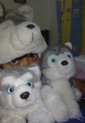 Everything: Koleksi Boneka Serigala atau Siberian Husky