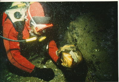 Captain Niit's log: Kronan Royal War ship Diving the time capsule