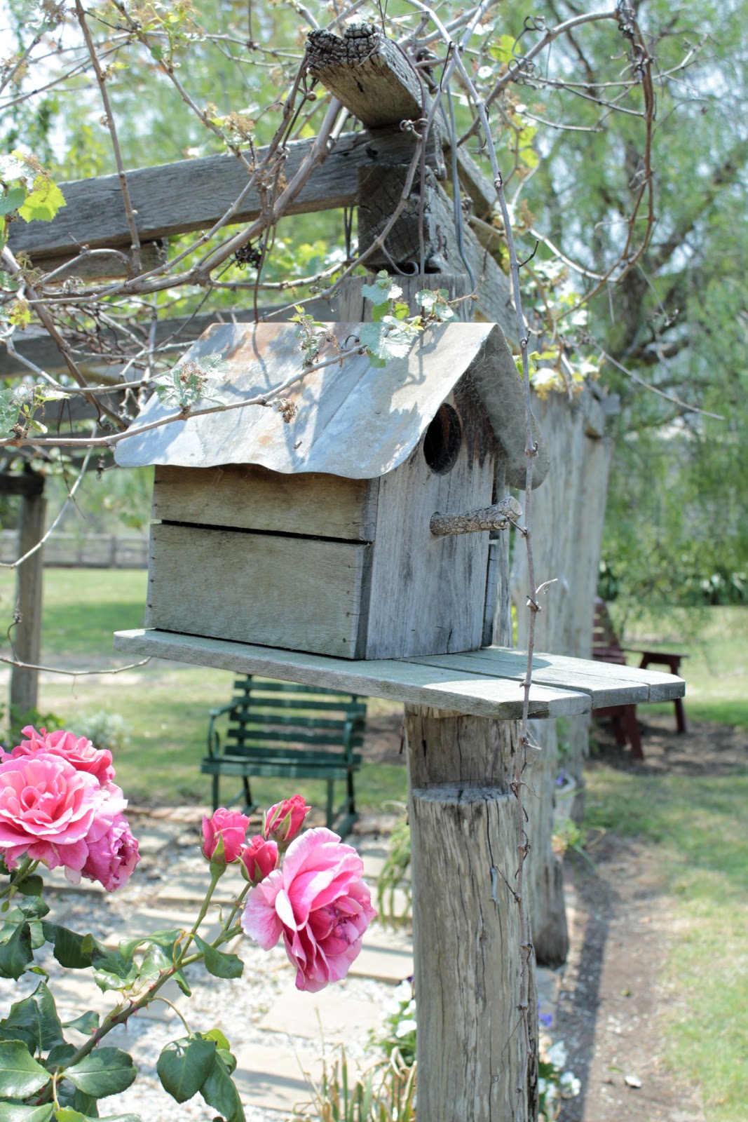 "A Day In The Valey" - Garden Tour of Pilton Valley 21/10/12