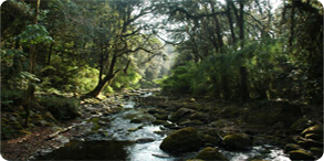 ECO TRAILS: NEORA VALLEY NATIONAL PARK