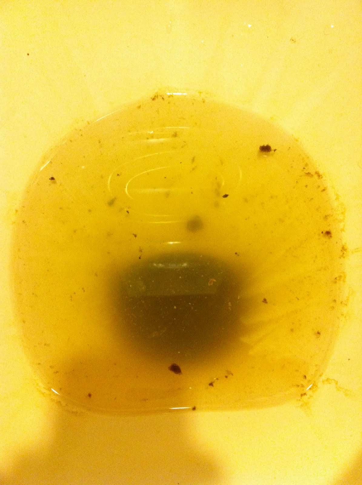 The Shit Project: February 2011