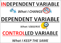 5th Grade Fantastic: Science Anchor Charts (Qualitative vs Quantitative ...