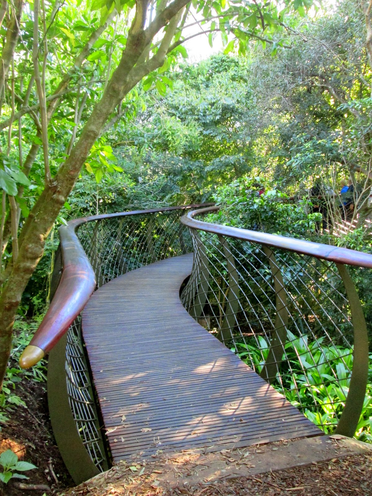 The Great Wildebeest Migration: The Tree Canopy Walkway