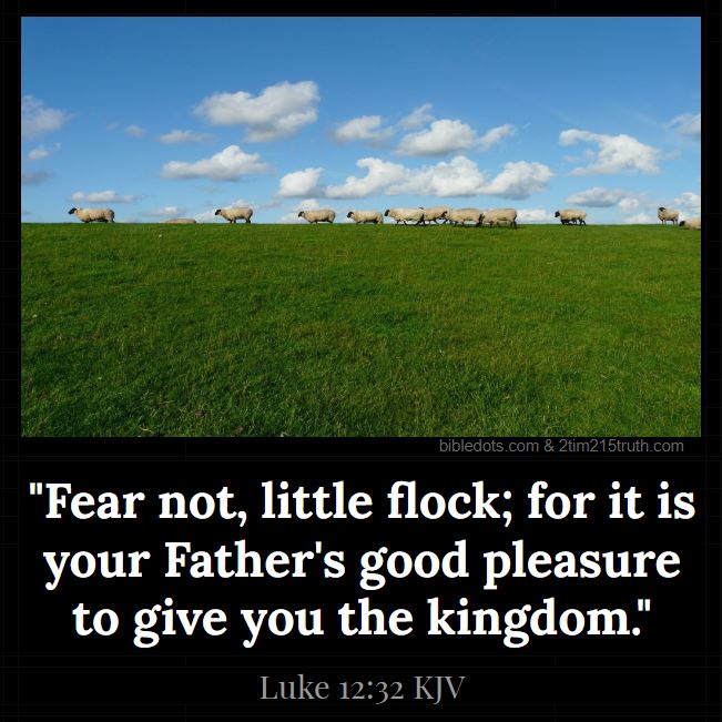 2 Timothy 2:15 Truth: Verse of the Day: Luke 12:32 KJV