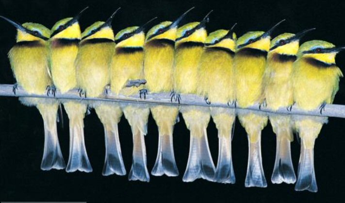 Loess Ground: Co-Authors (Largely Loessic) Part Three