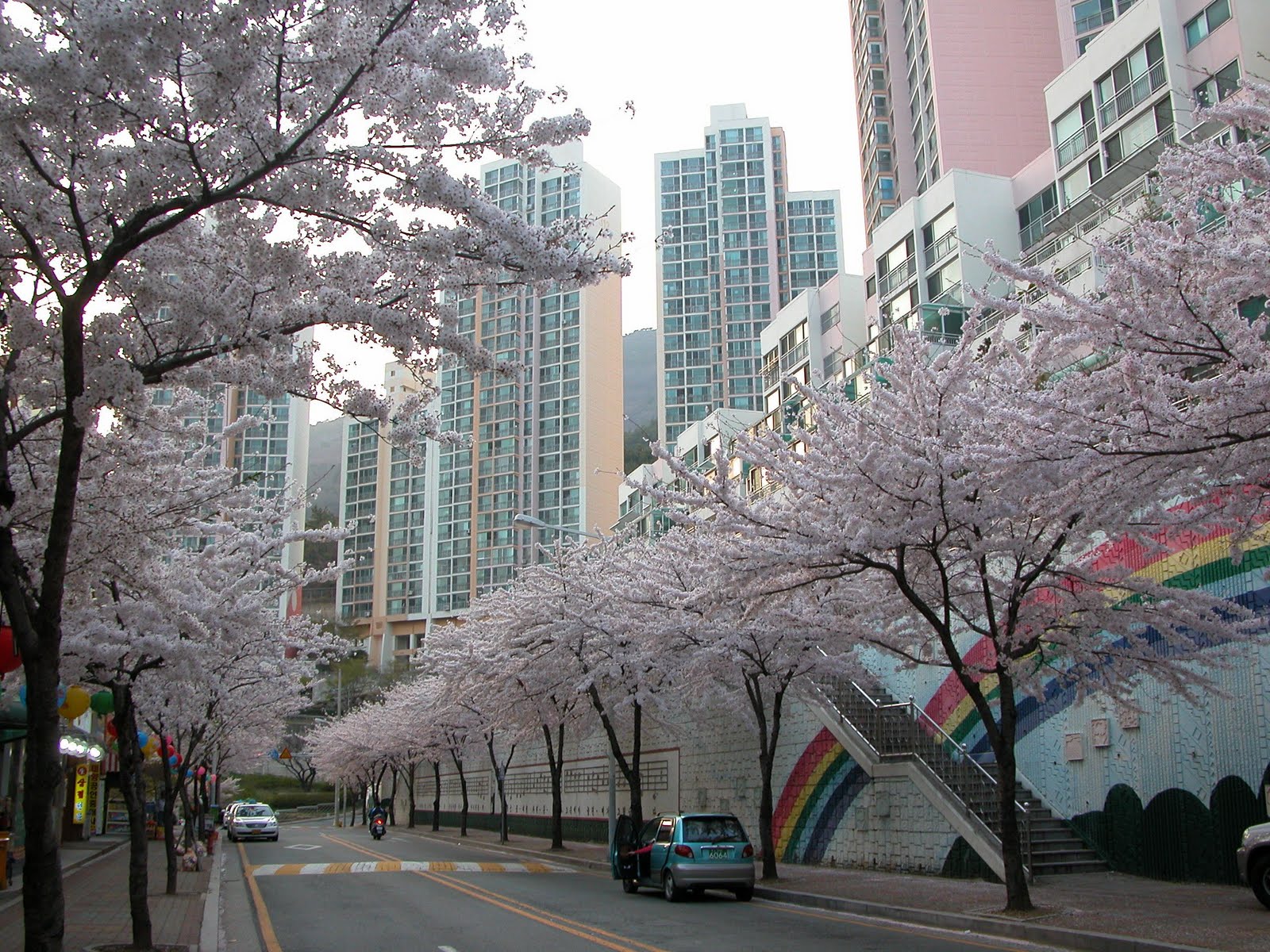 De Hanmer À Busan: When Spring Comes to Busan