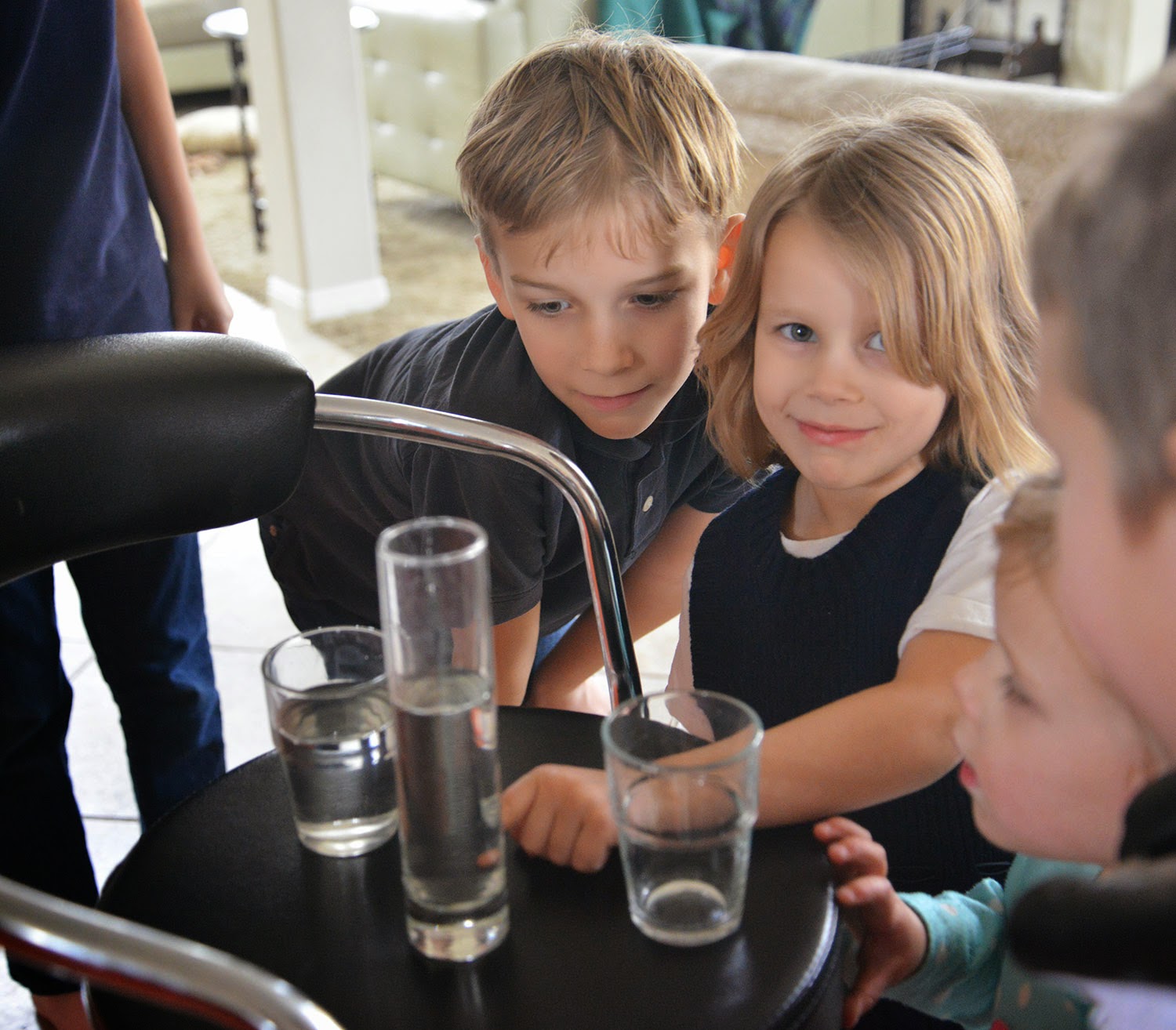 A school of fish: Stroop Effect, Conservation of Liquids, Mirror Neurons